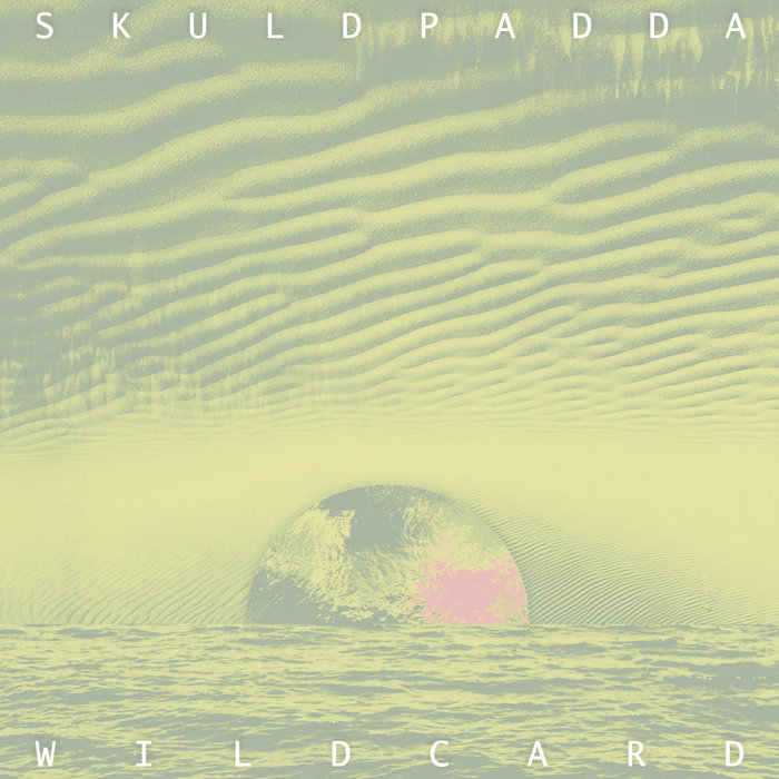 Wild Card | Skuldpadda | Kning Disk