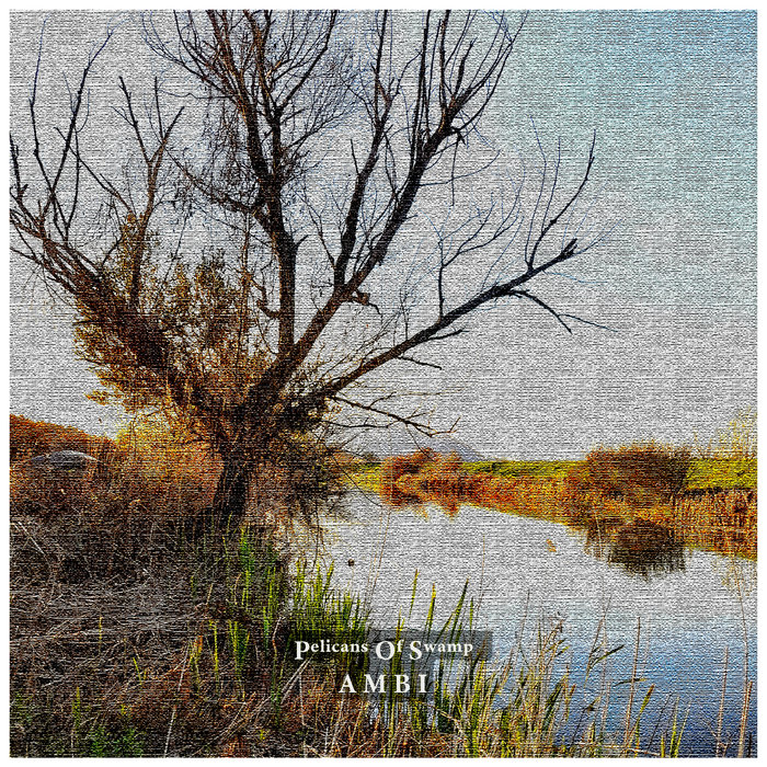 AMBI | Pelicans Of Swamp | Delta Swamp Music