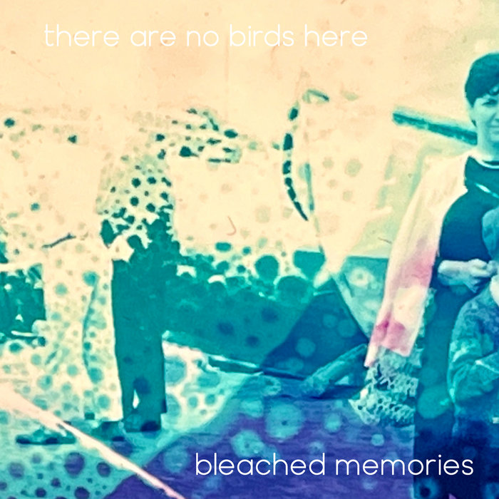 bleached memories | there are no birds here