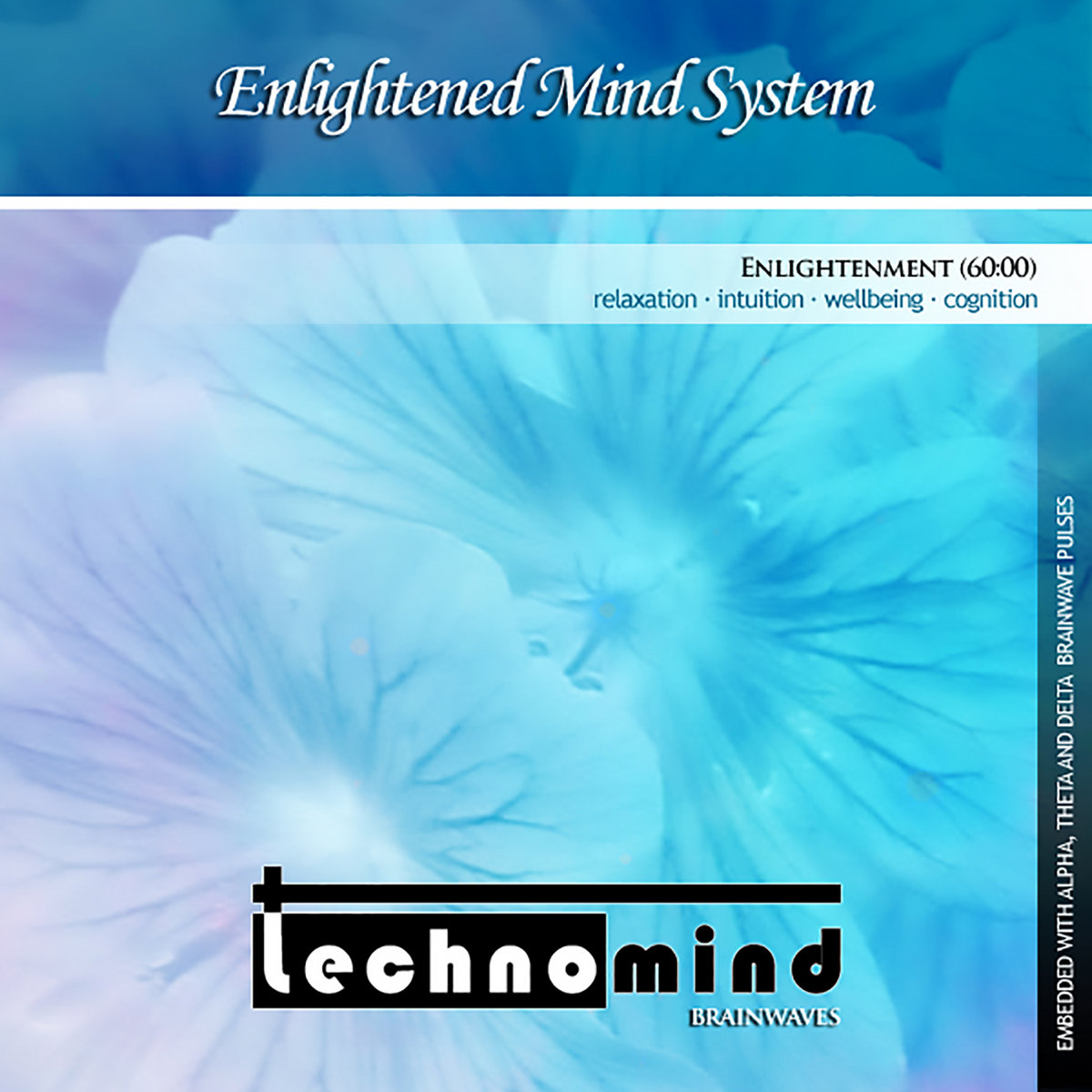 Enlightened Mind System | technomind