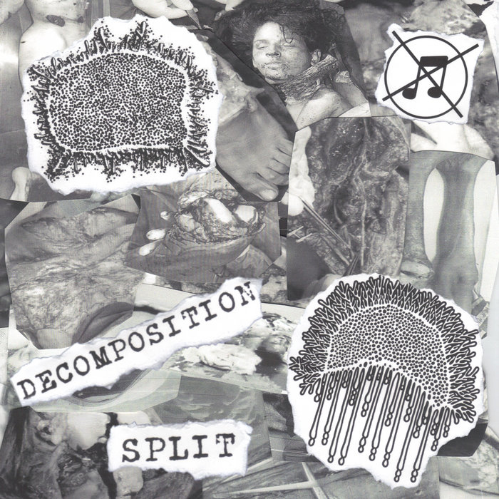 Decomposition Split (Necrotizing Fasciitis / The Noise Monk ...