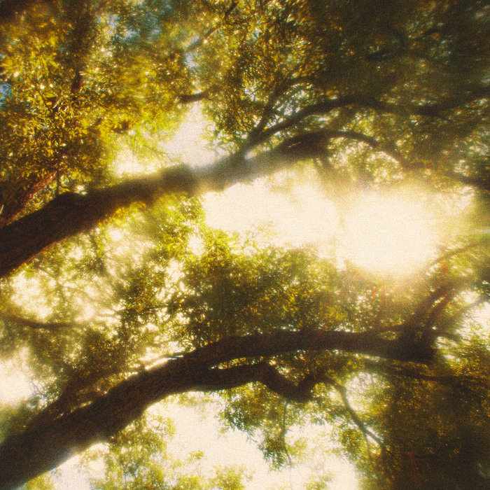 traces (early version) | vesky