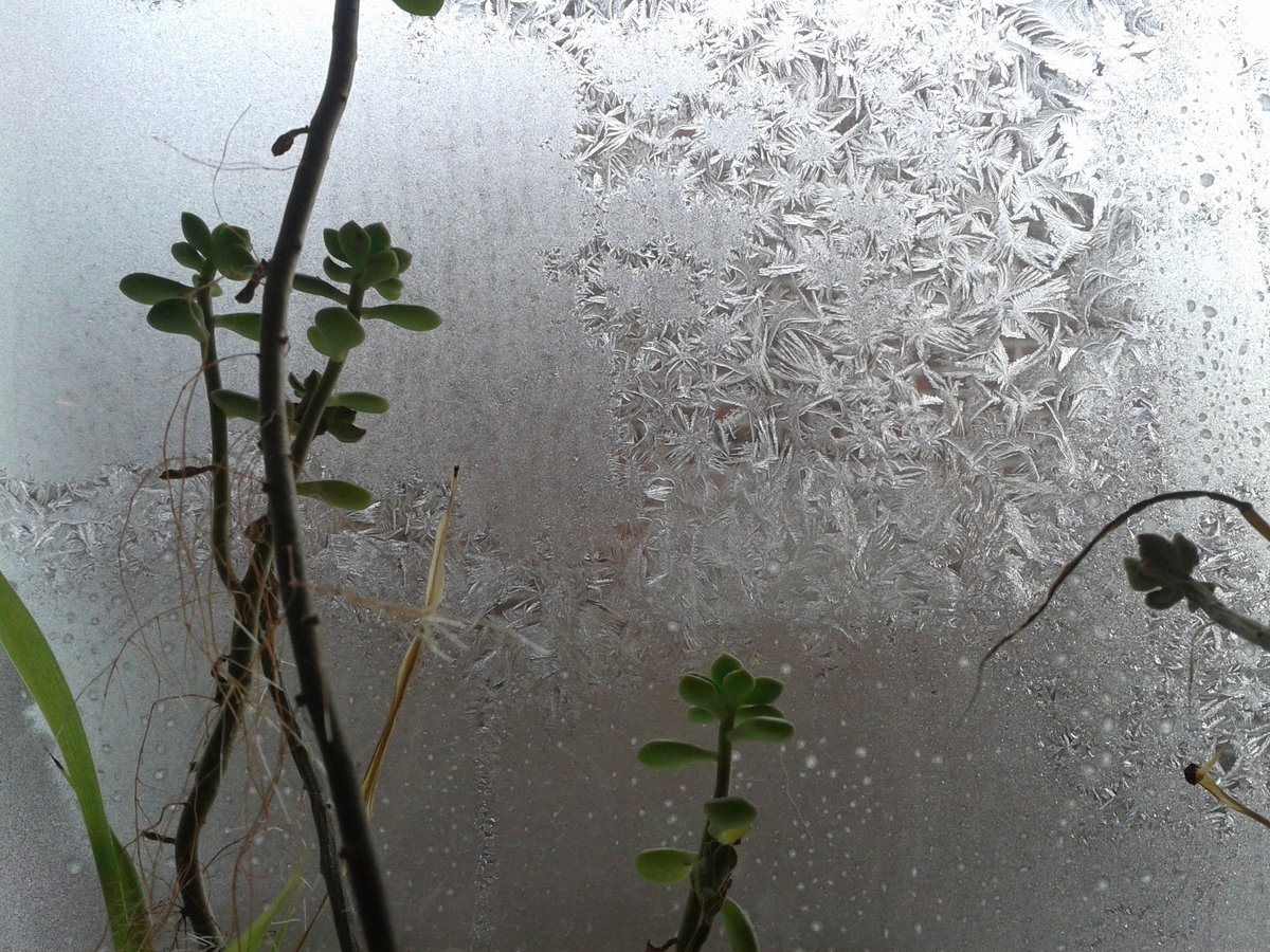 university assignments 2008-09 | Jeffrey Rabena