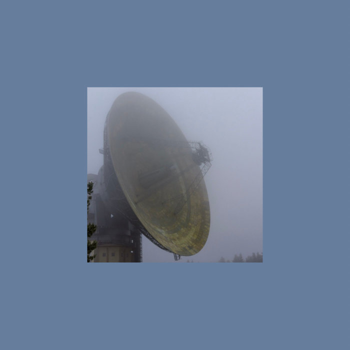 Transmission | Austin Williamson