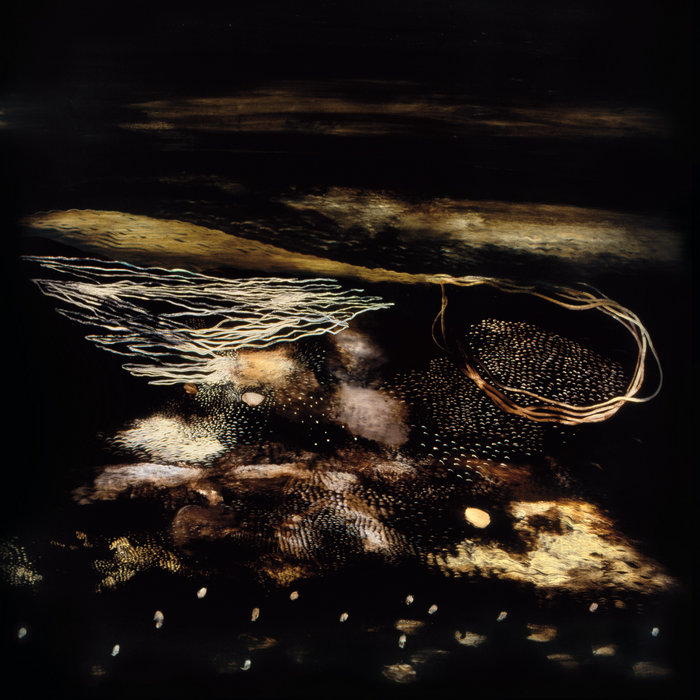 Wilderman | Magic Mountain Band