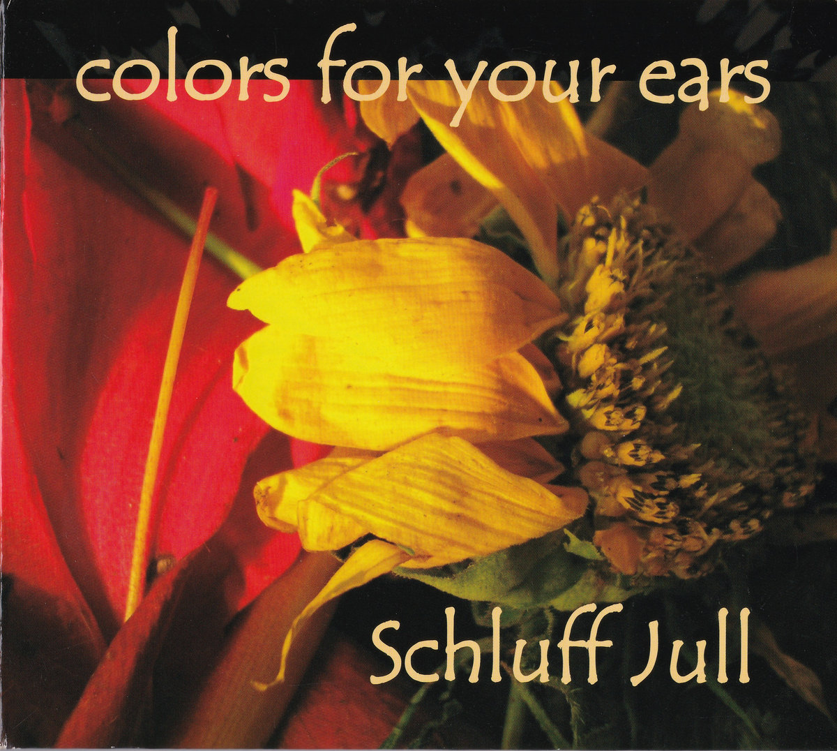 Colors for Your Ears | Schluff Jull
