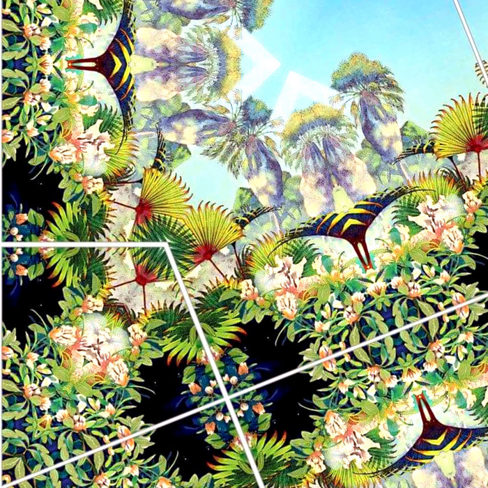 Paradise Acid | Turismo Blu