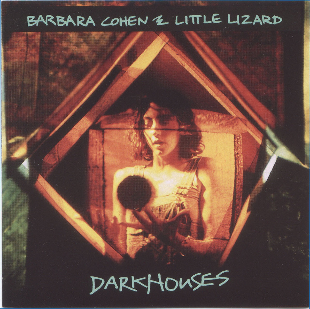 Dark Houses | Barbara Cohen