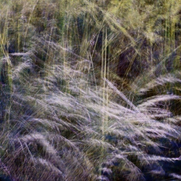 Viento Alterno | María Grubbe