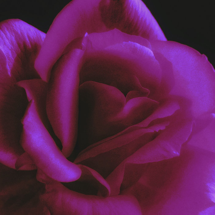 Just Like You (Slowed + Reverb) | Toto Blu