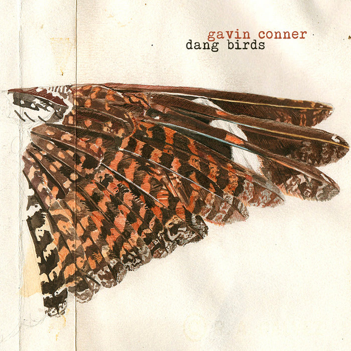 Dang Birds (2015) | Gavin Conner