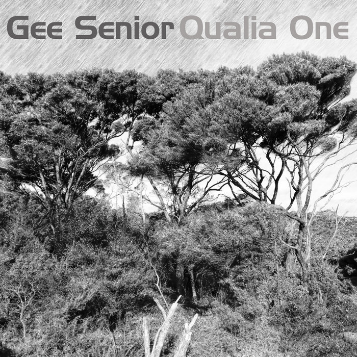 Qualia One | Gee Senior