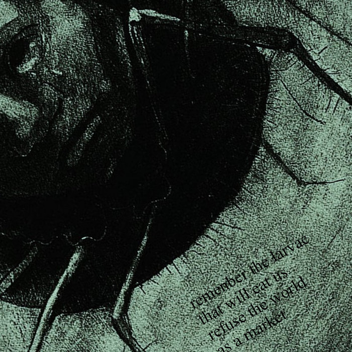 The Crying Spider | eumourner | Music Analysis Discussions Records