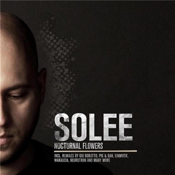Nocturnal Flowers | Solee