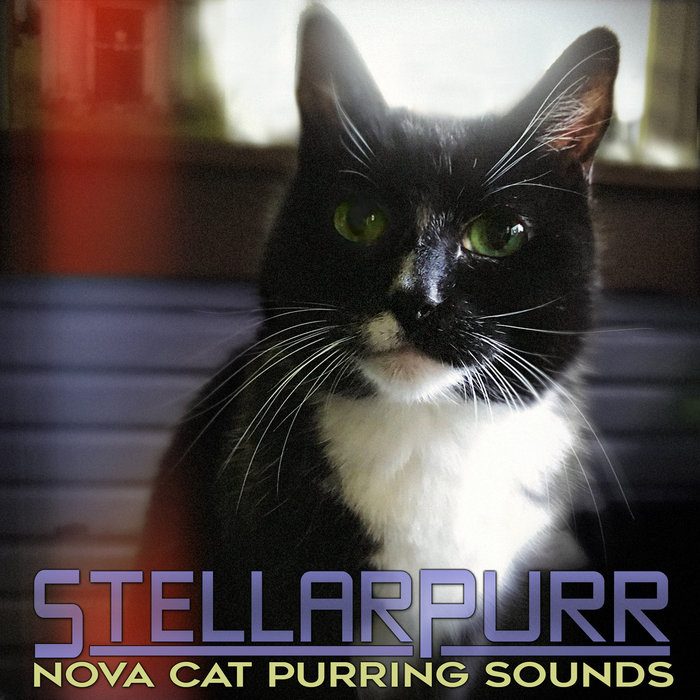 Interstellar Purr | Nova Cat Purring Sounds | Projekt Records