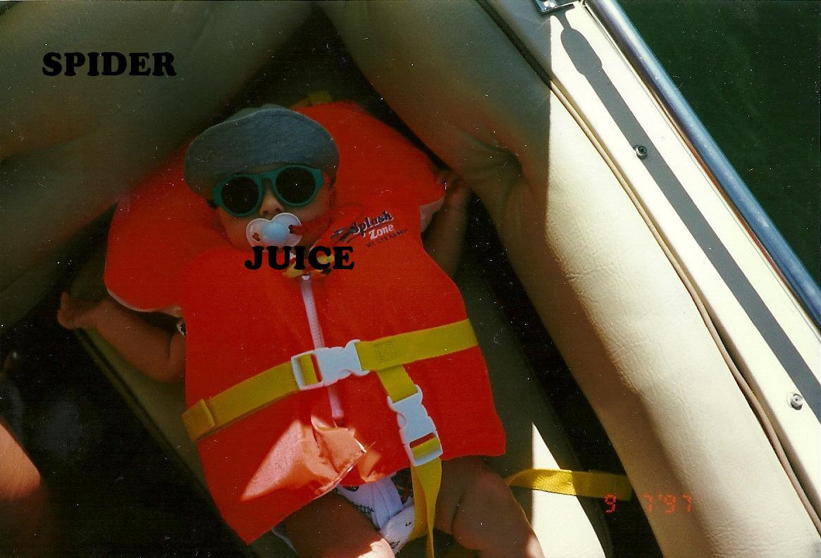 Spider Juice | Cosmic Coyote | Cosmic Coyote.