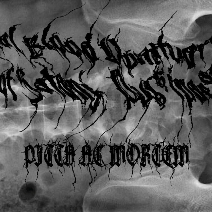 666 // Split | Blood Anal Vomitiary | Holy Coast Studio