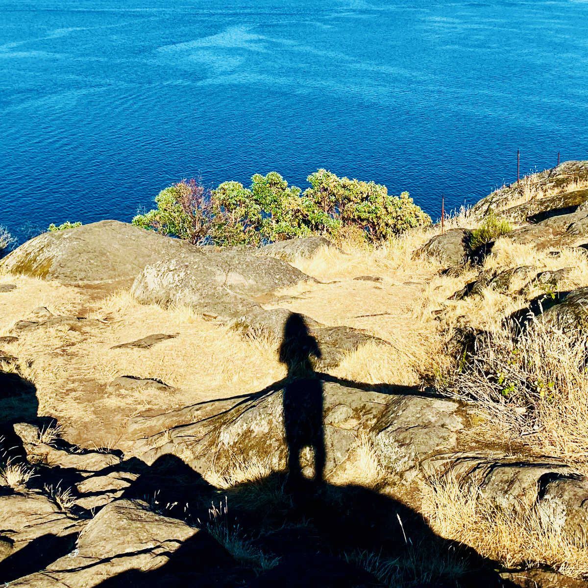 Redux (Outtakes) | Dao Strom