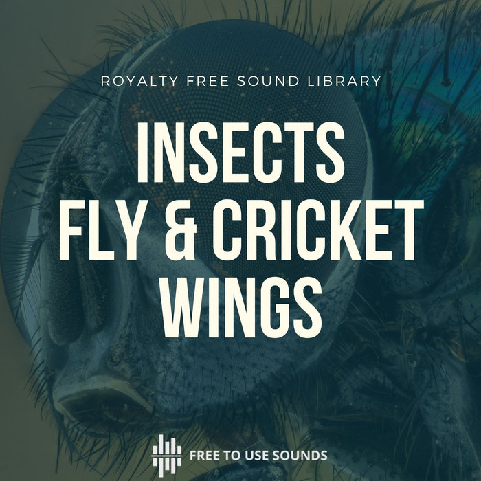 Wing Sounds Fly's & Cricket Wing Sound Effects | freetousesounds