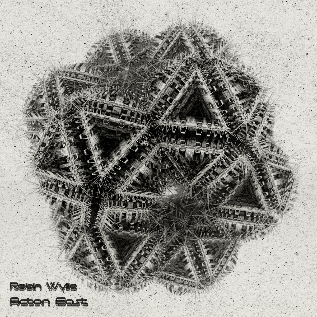 Acton East | Robin Wylie