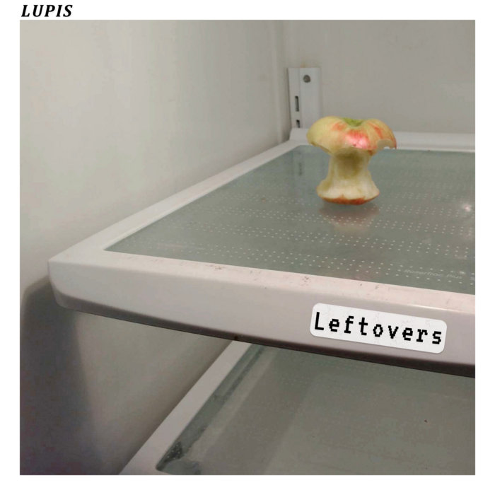 Leftovers | Sipul
