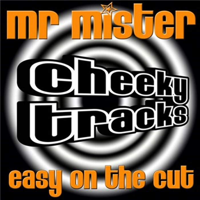 Easy On The Cut | Mr Mister