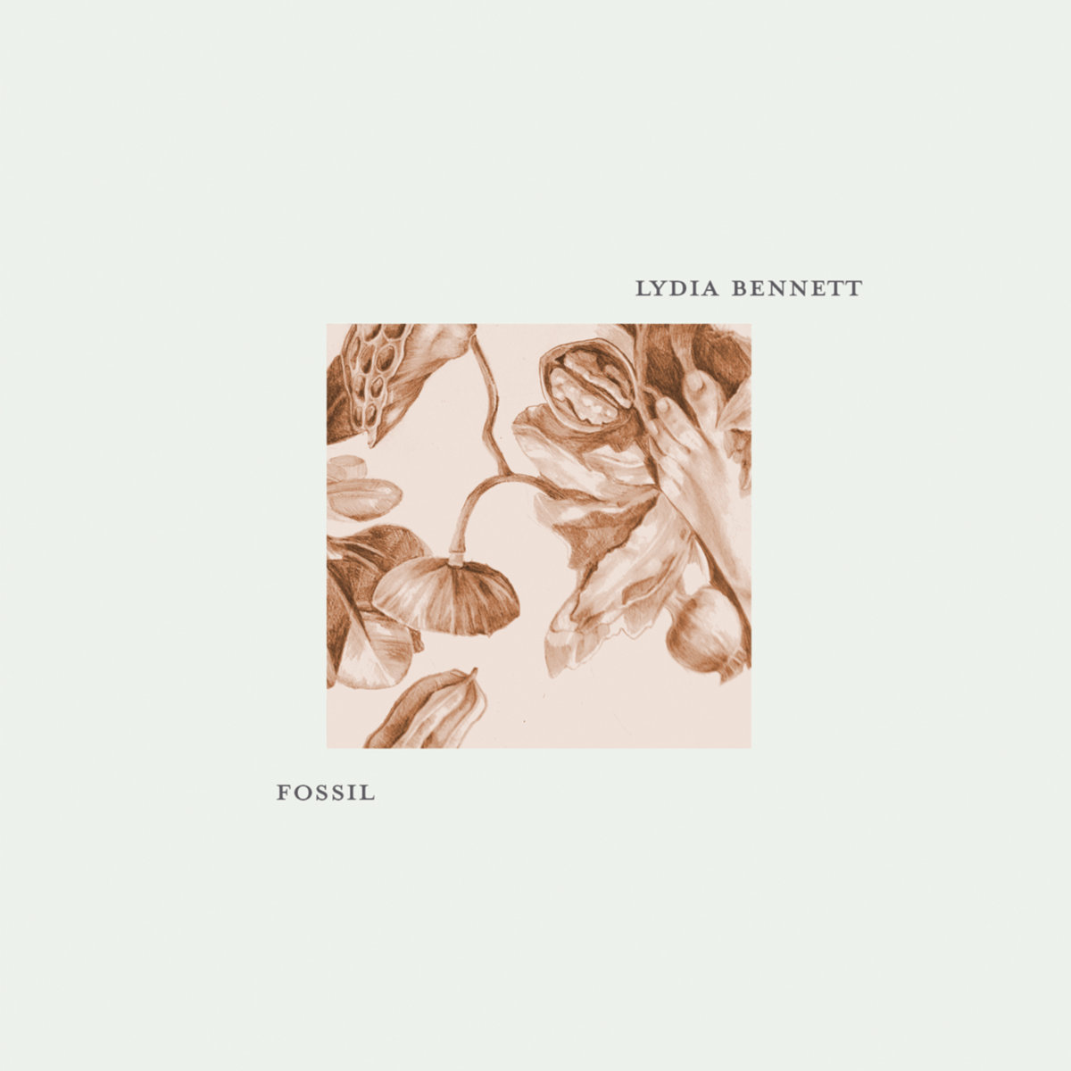 Fossil | Lydia Bennett
