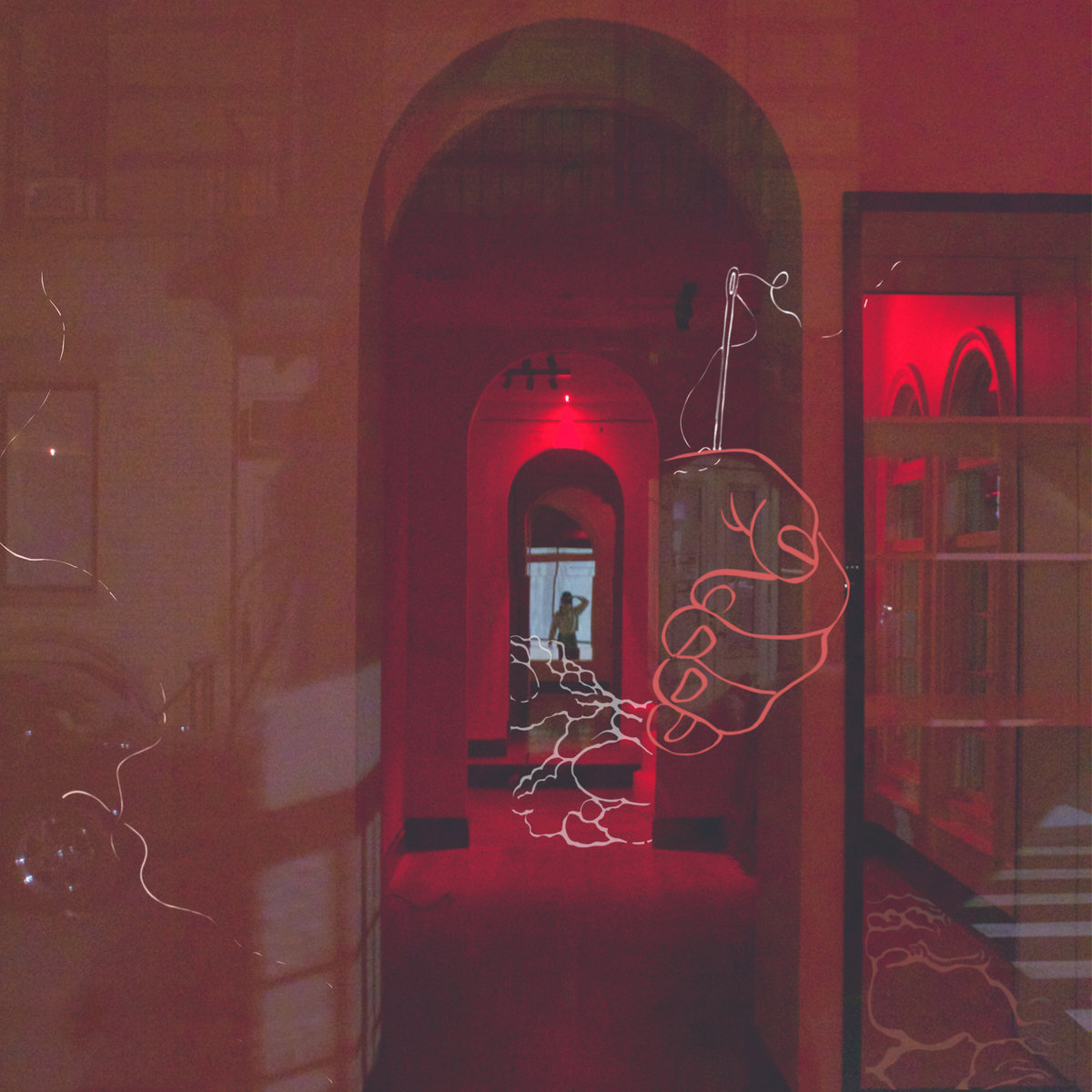 Tangerine | Morgan Weidinger