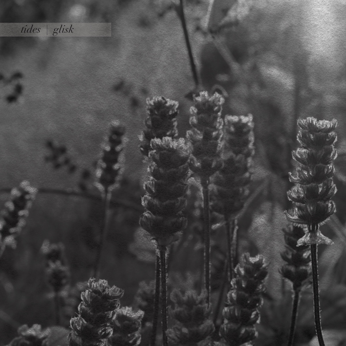 glisk | tides | Shimmering Moods Records