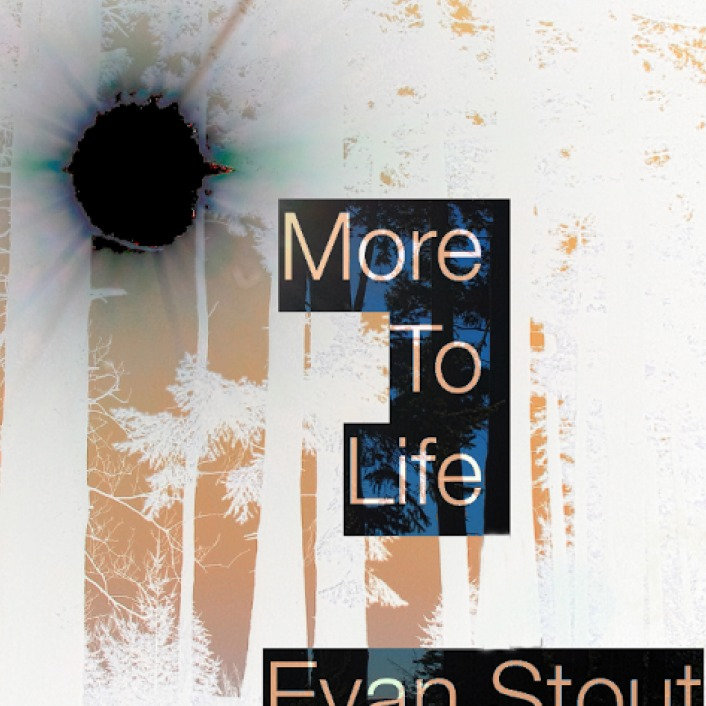 More to Life | Evan Stout