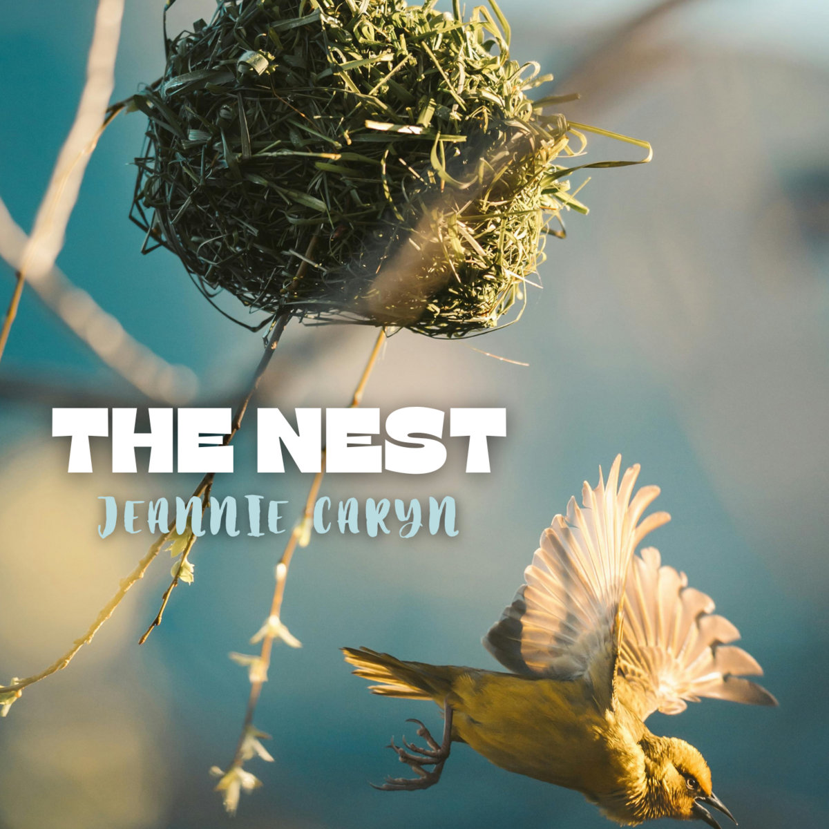 The Nest | Jeannie Caryn