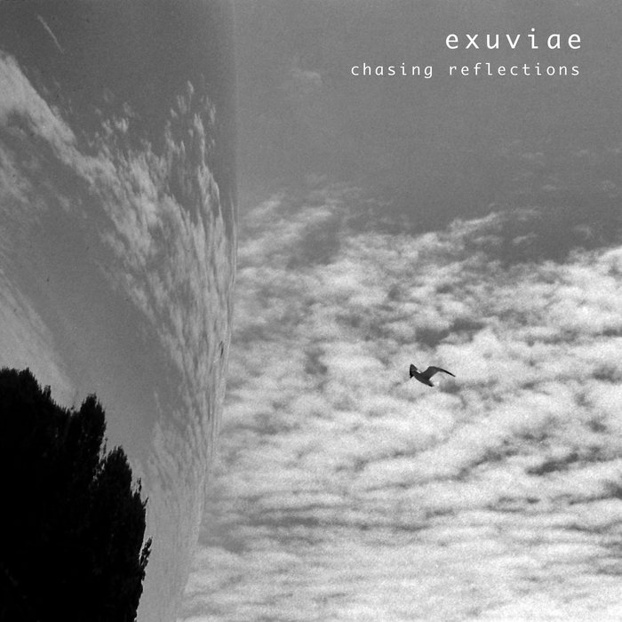 Chasing Reflections | Exuviae