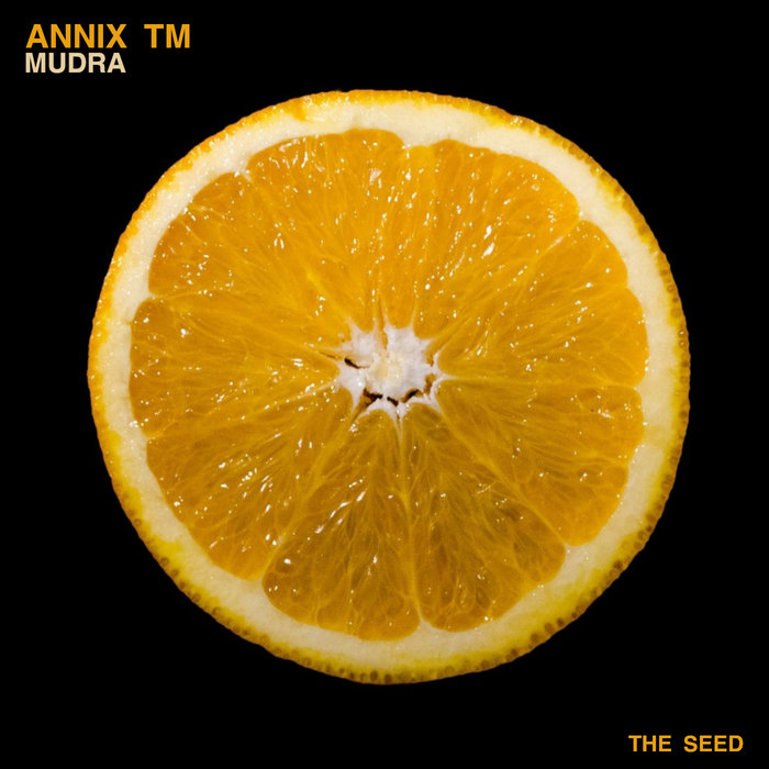 Mudra | Annix TM | The Seed Underground