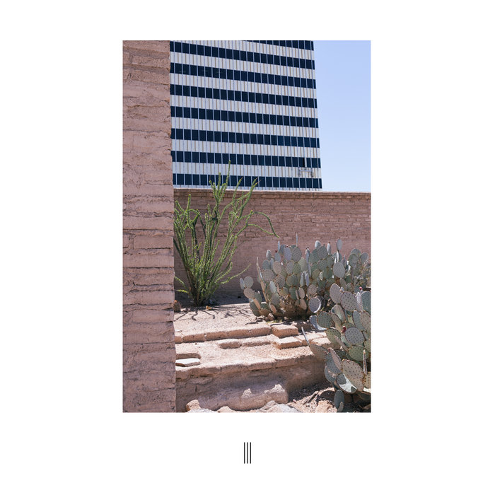 Ep 3 | Quiet Coyotes