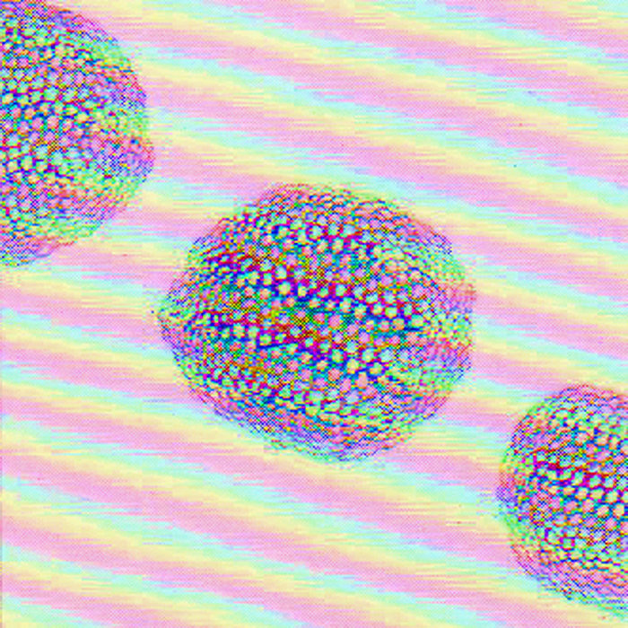 The Literal Shape | Epop Nivek