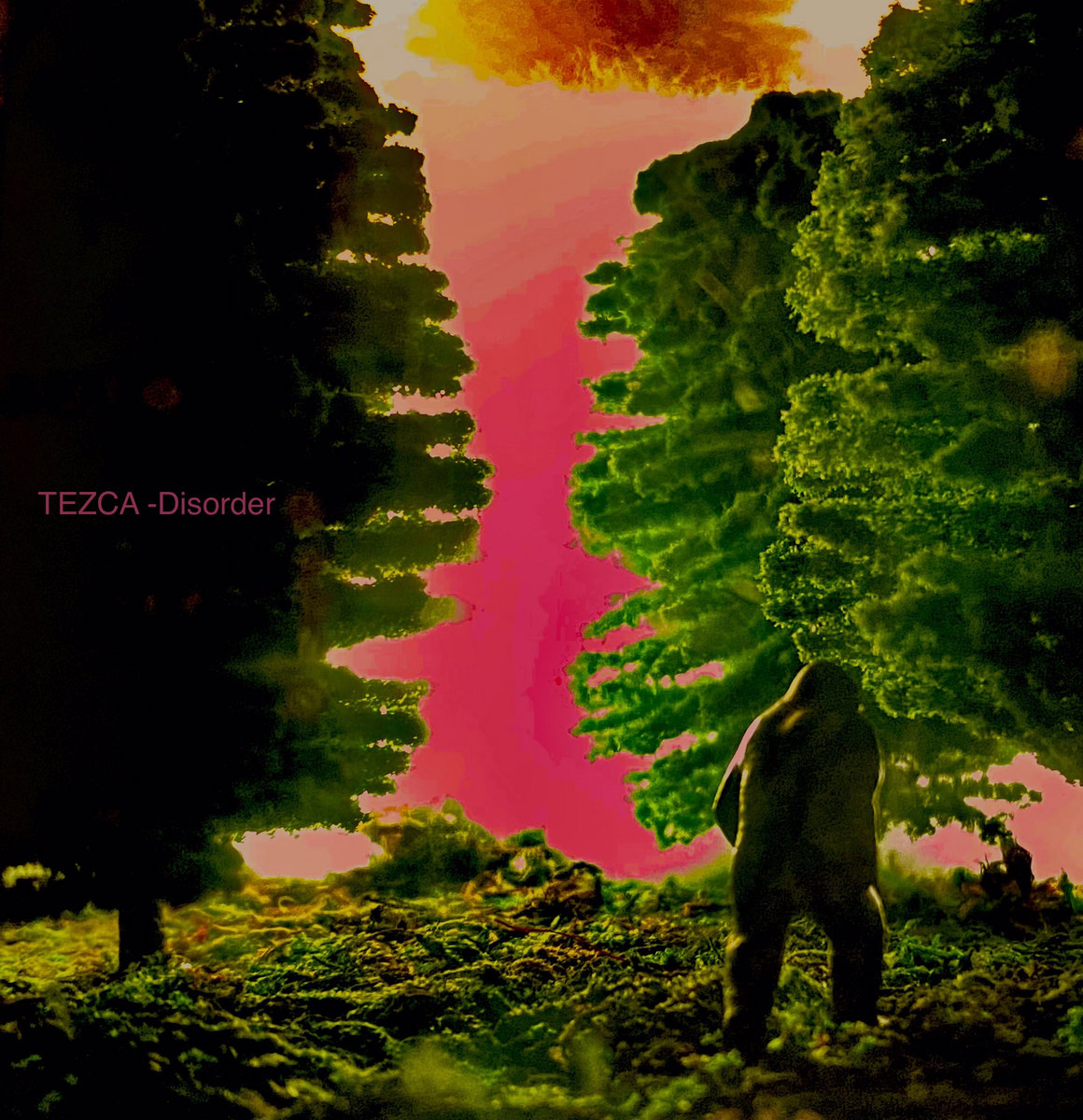 Disorder | Tezca