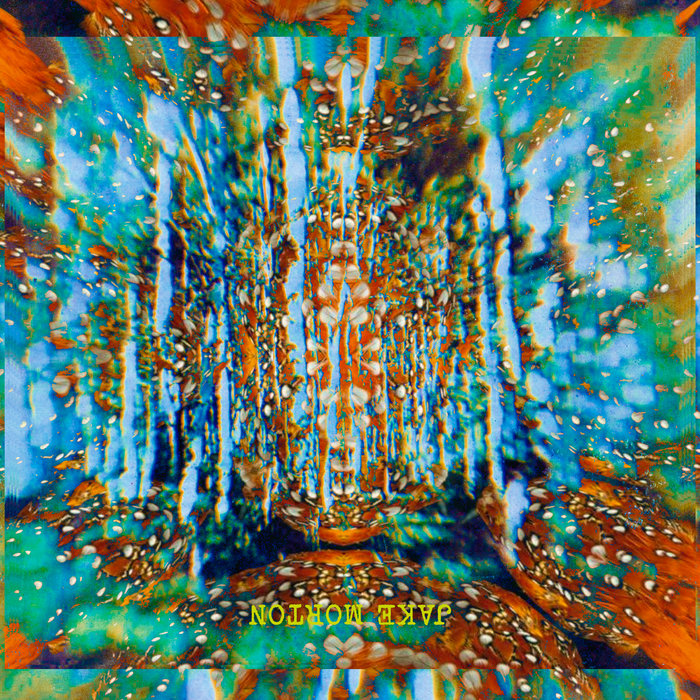 Spit Veneer | Jake Morton