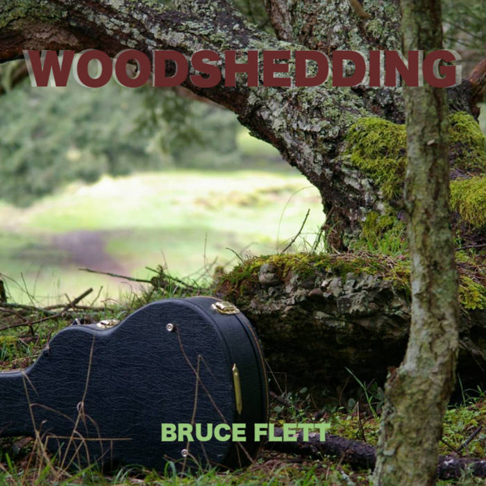 Woodshedding | Bruce Allen Flett