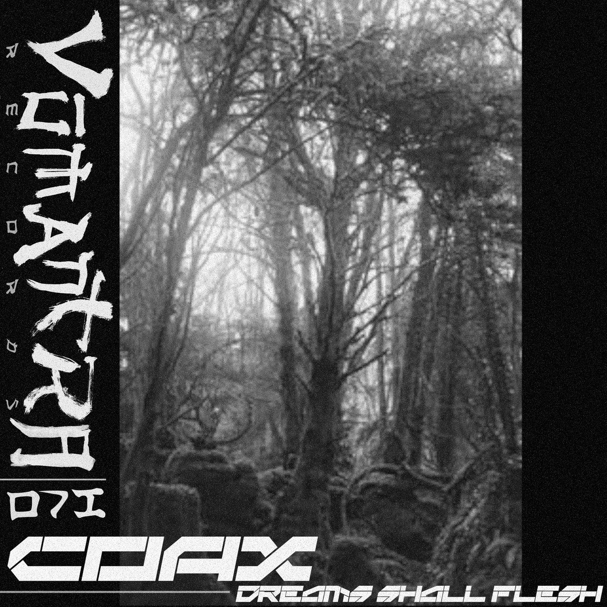 Dreams Shall Flesh | COAX | Vumantra