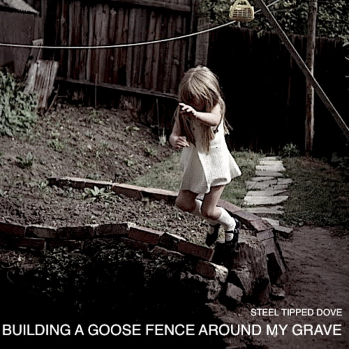 Building A Goose Fence Around My Grave | Steel Tipped Dove | Polar Infinite