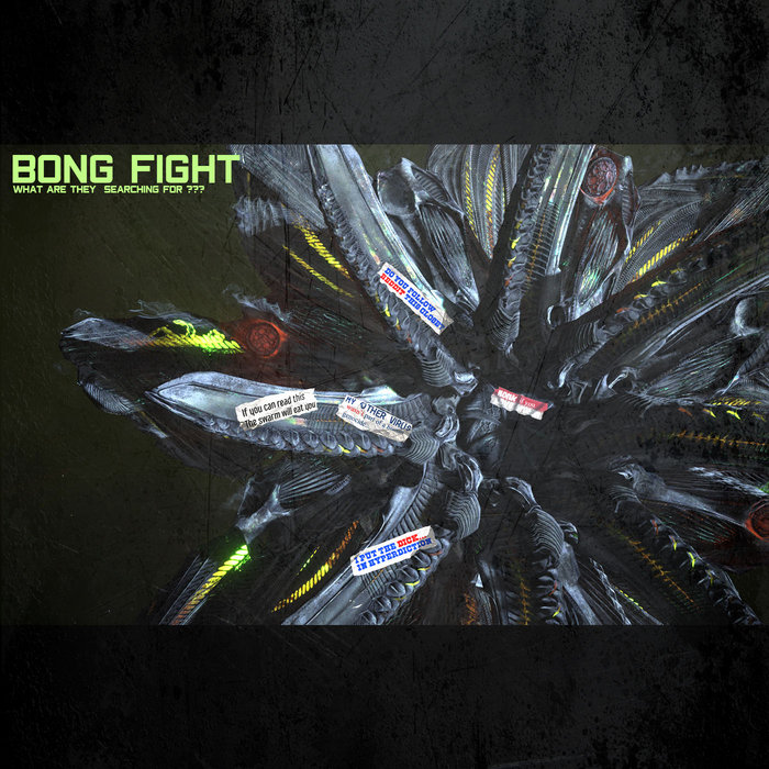 1 What are they searching for? - Bong Fight | ToCoSo