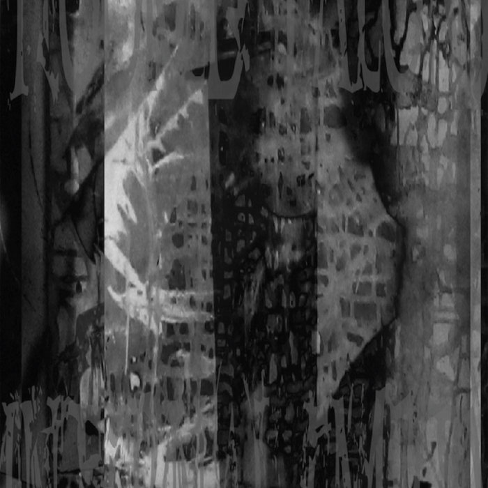 Hooked Talons / Internal Empty - Split | Hooked Talons / Internal Empty ...