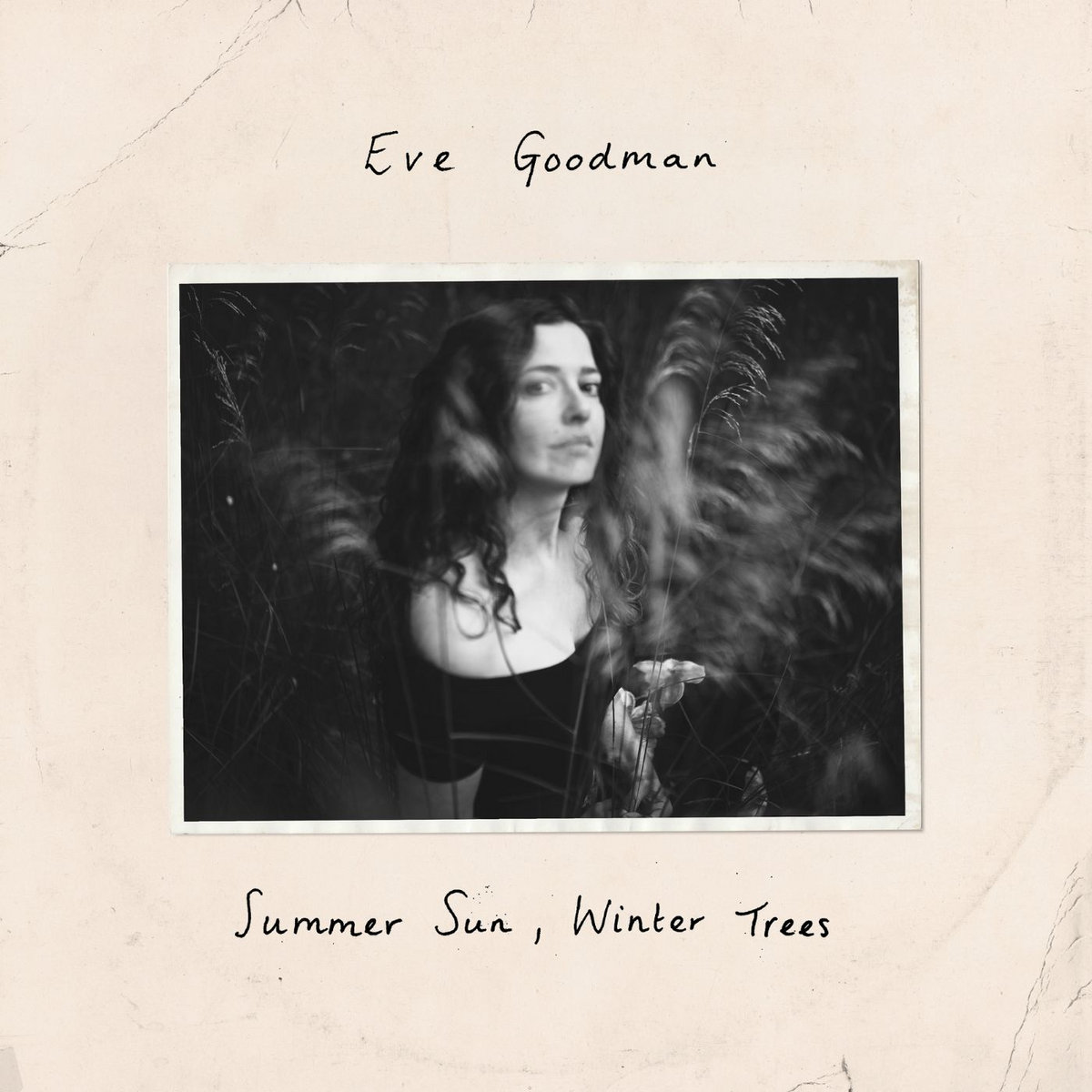 Summer Sun, Winter Trees | Eve Goodman