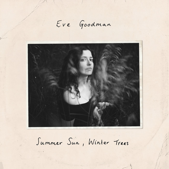 Summer Sun, Winter Trees | Eve Goodman
