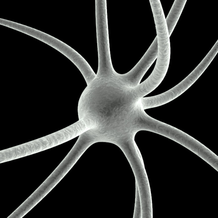 Node Point | Adrian Bond