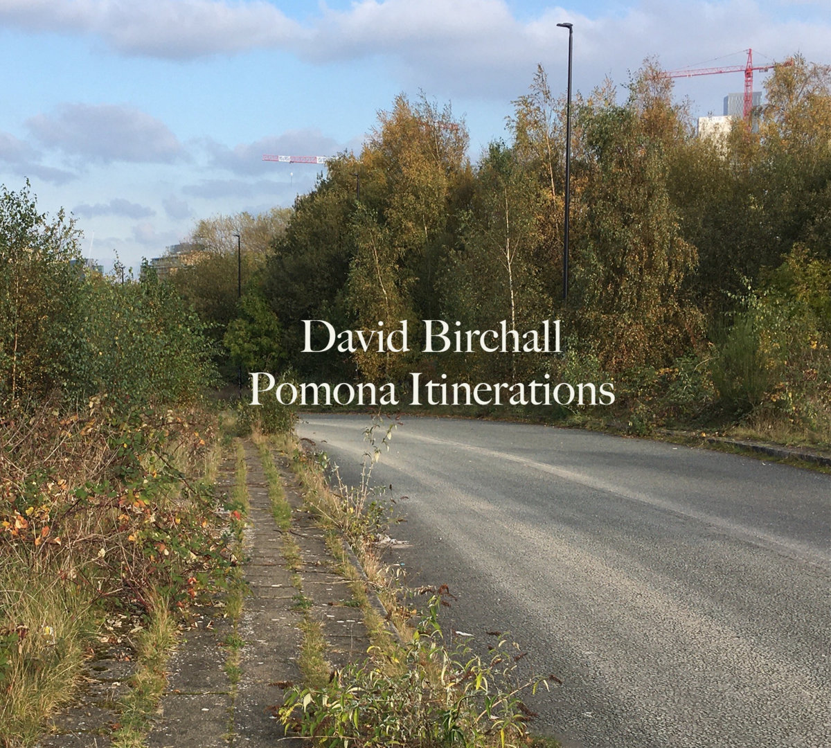 Pomona Itinerations | David Birchall