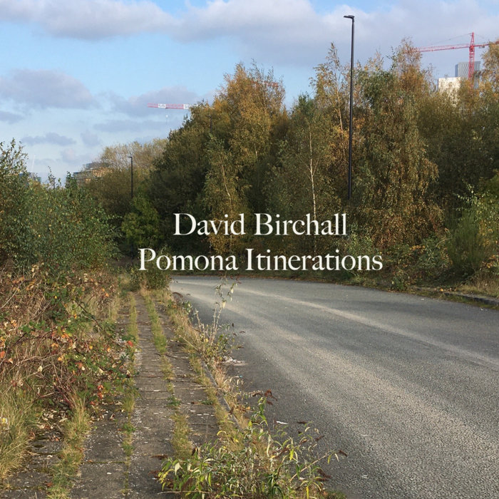 Pomona Itinerations | David Birchall