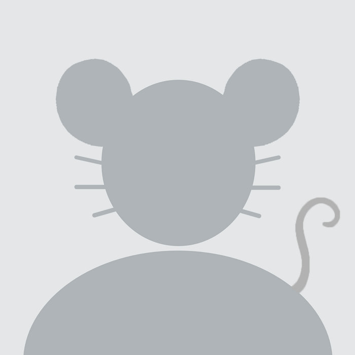 Year of the Rat | Bodega Rats