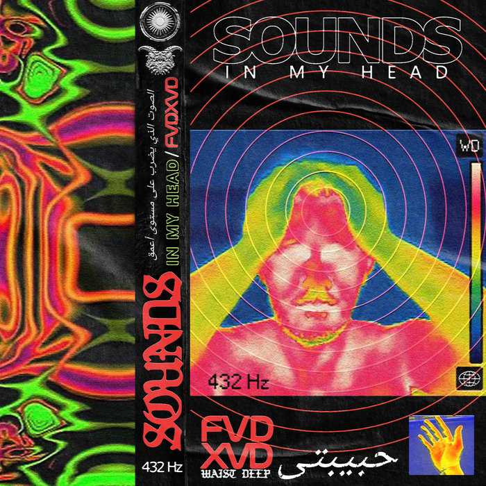 SOUNDS IN MY HEAD | FVDXVD