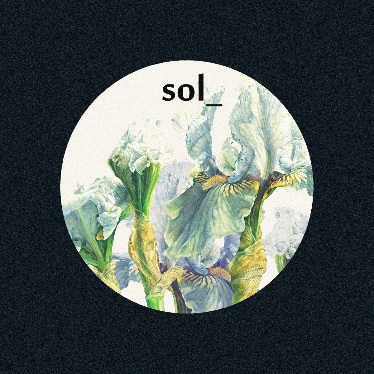 sol_18 | Unknown Artist | sol_